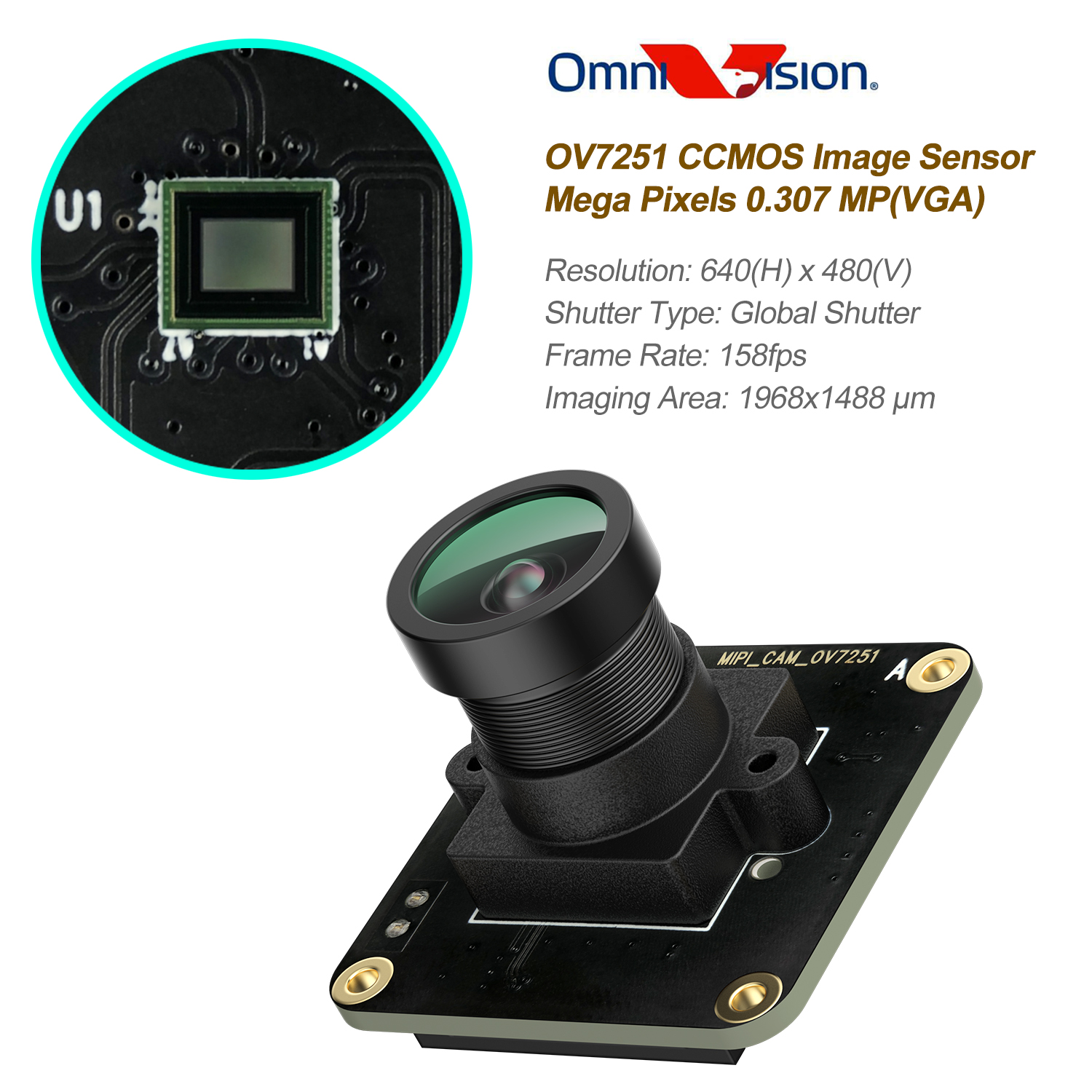 CAM-MIPIOV7251RAW,树莓派全局摄像头OV7251传感器支持高帧率外部触发频闪功能 – 树莓派摄像头|全局曝光|星光级|USB|UVC|工业摄像头|支持定制